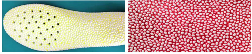 ETPU 発泡顆粒、膨張 TPU ペレット | 中国のサプライヤー