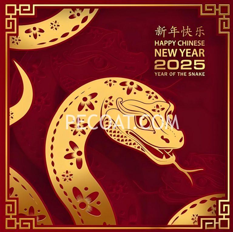 Chinese New Year 2025 Holiday : January 22 - Feb 6, Snake Year